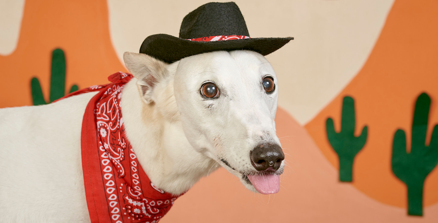 Switching from Stata to R – Ben Harrap